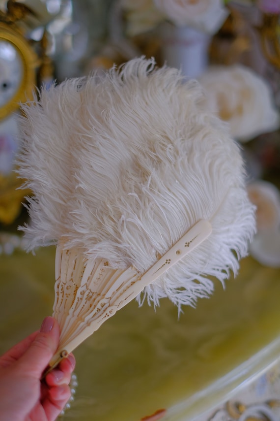 Antique Feather Hand Fan in White - Gem