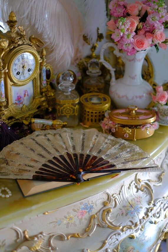 Antique Rare Lace Hand Fan - Gem