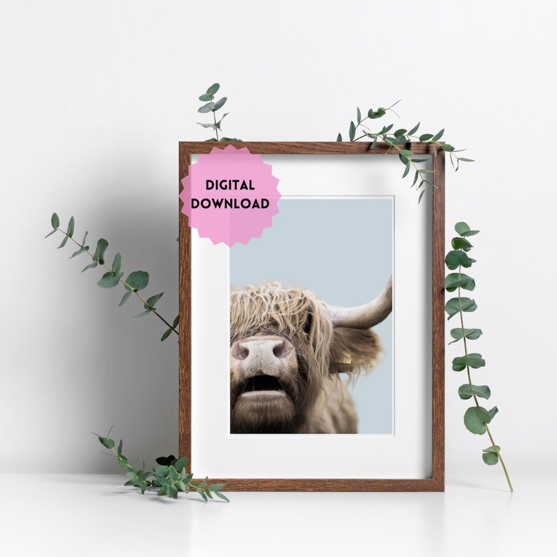 Highland Cow Printable Wall Art Pastel Farmhouse Decor - Etsy