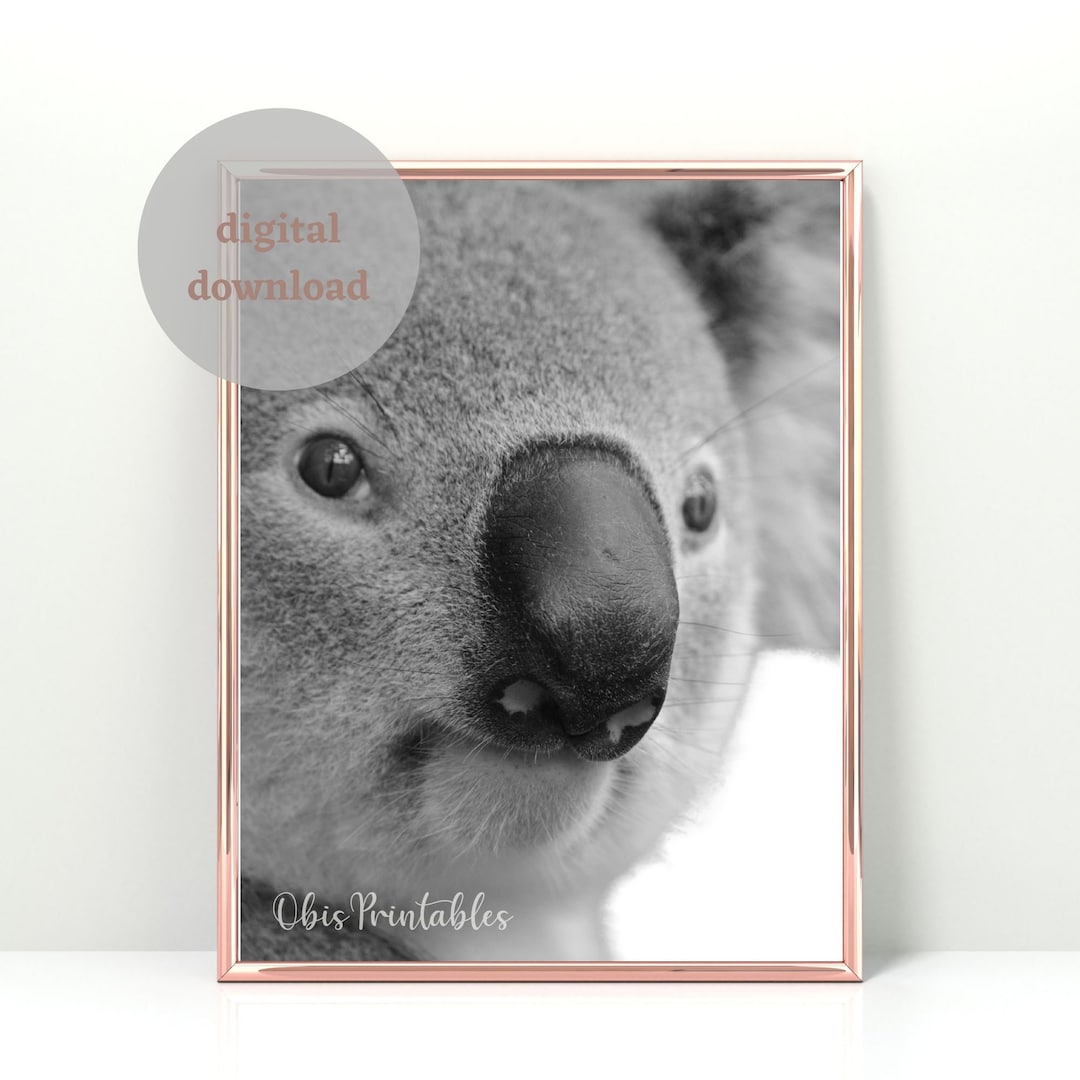 Koala Wall Art, Black White Woodland Printable Art Animal, Modern ...