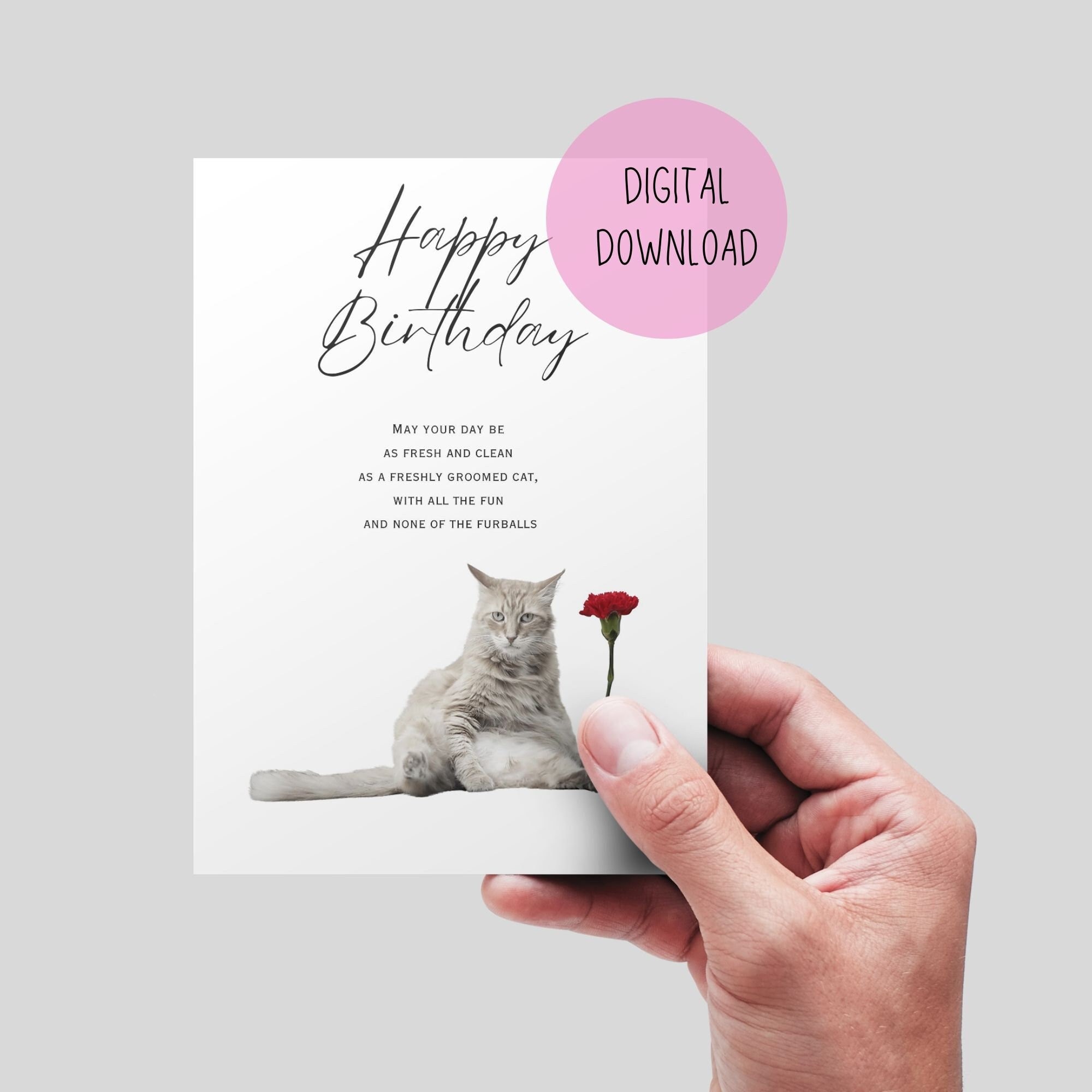 Grumpy Cat Wedding Condolences