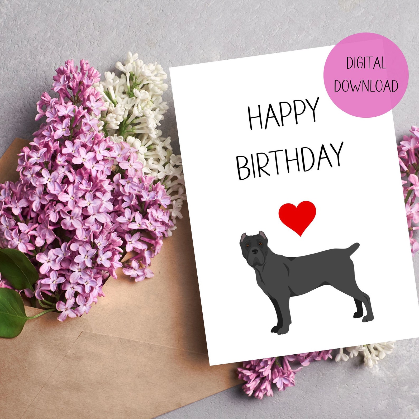 Cane Corso Birthday Printable Card - Cane Corso Birthday Card. DIGITAL ...