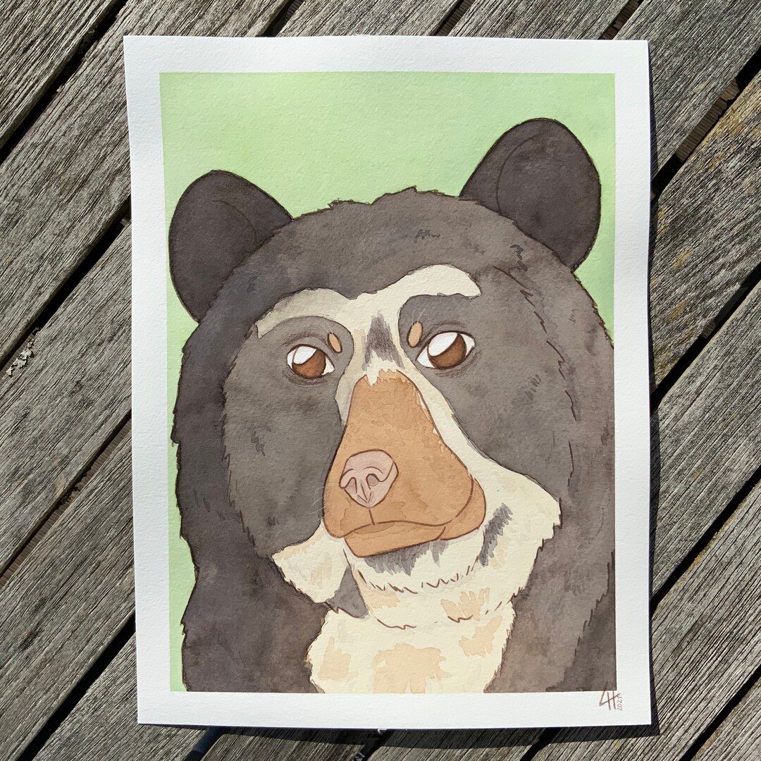 Spectacled Bear Painting Spectacled Bear Original Painting - Etsy