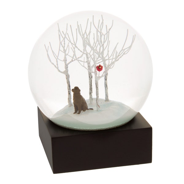 Lab Snow Globe - Etsy