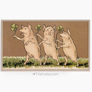funny pigs dancing