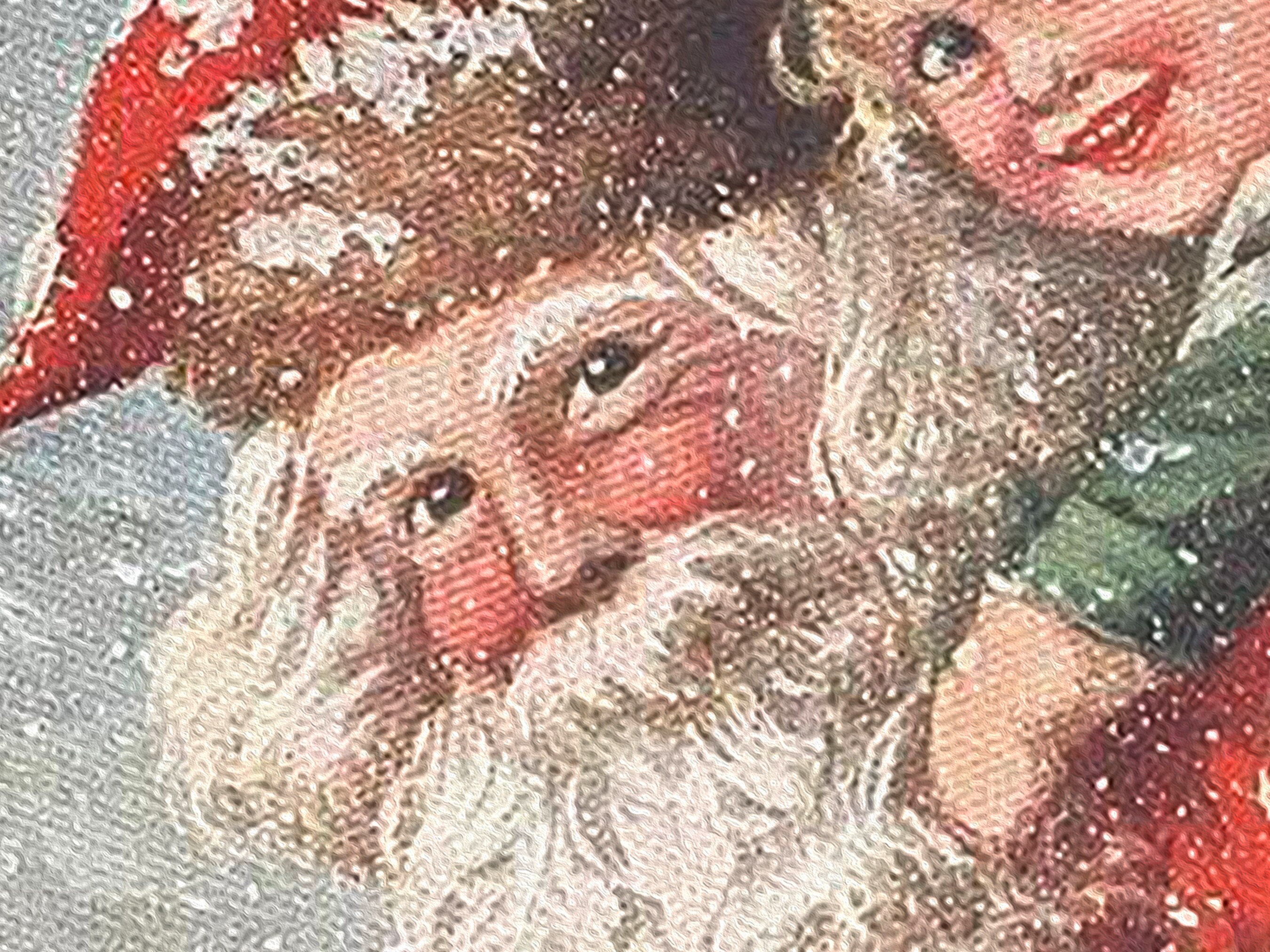 Samsung Frame TV Art Santa Claus Night Before Christmas Screensaver TV ...