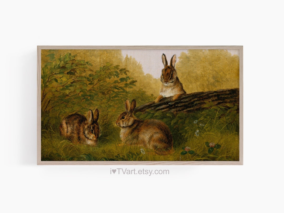 Bunny Frame TV Art Easter Rabbits TV Screensaver Art Samsung Spring ...