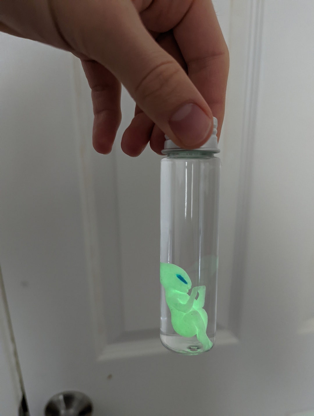 Alien Fetus Glow in the Dark Space Capsule - Etsy
