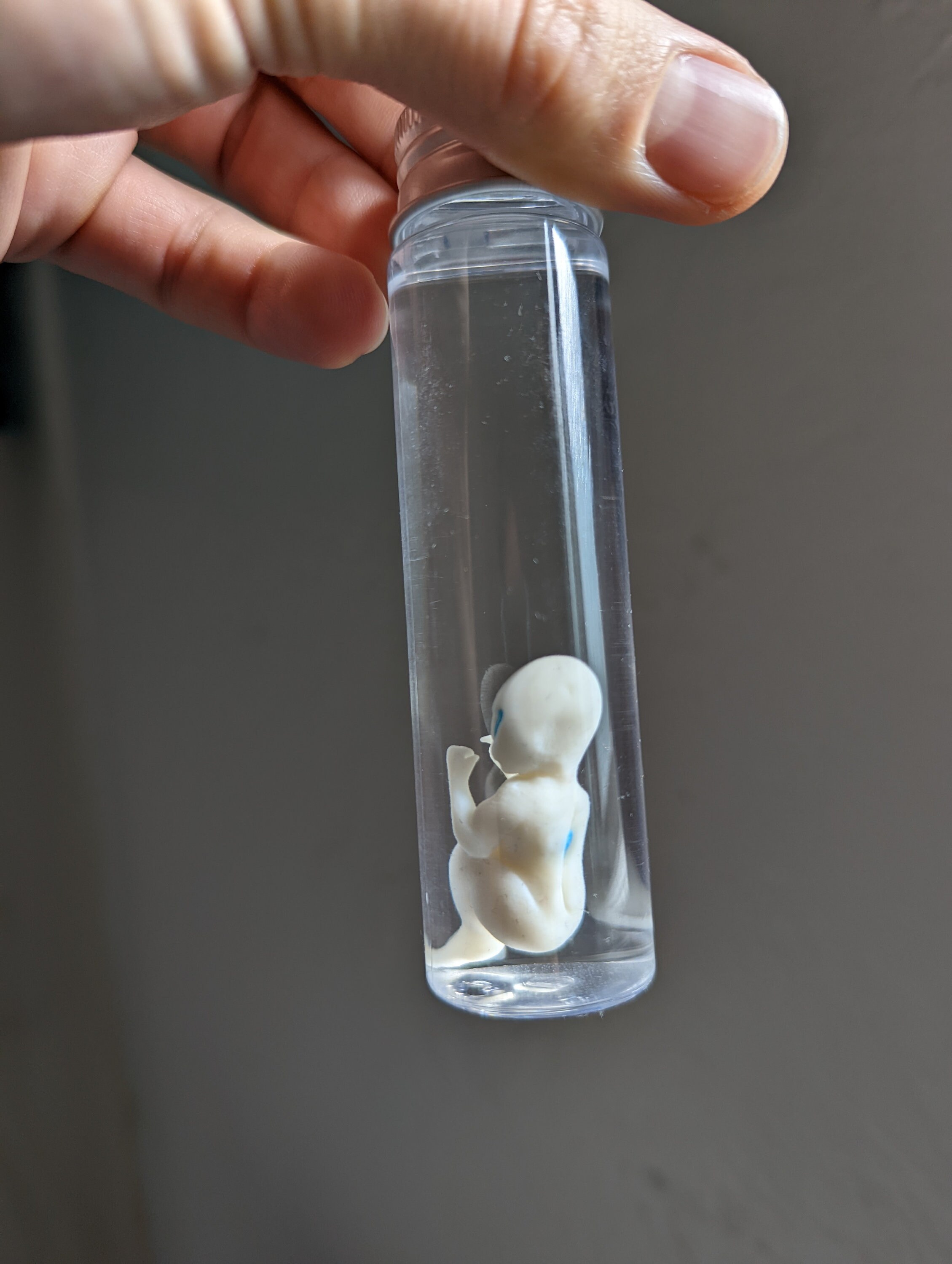 Alien Fetus Glow in the Dark Space Capsule - Etsy