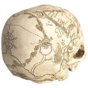 Craniumography Skull Old Treasure Map White Finish Sculpture Décor Cold ...
