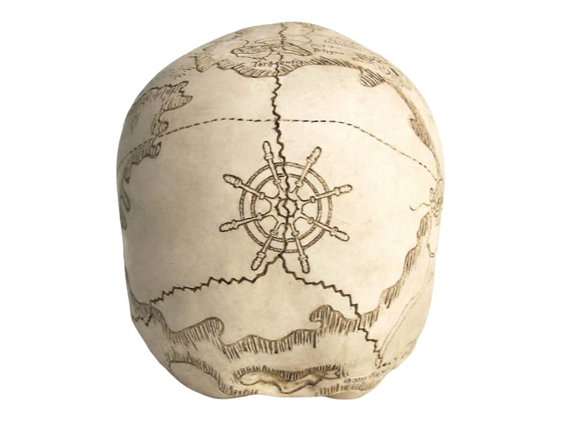 Craniumography Skull Old Treasure Map White Finish Sculpture Décor Cold ...