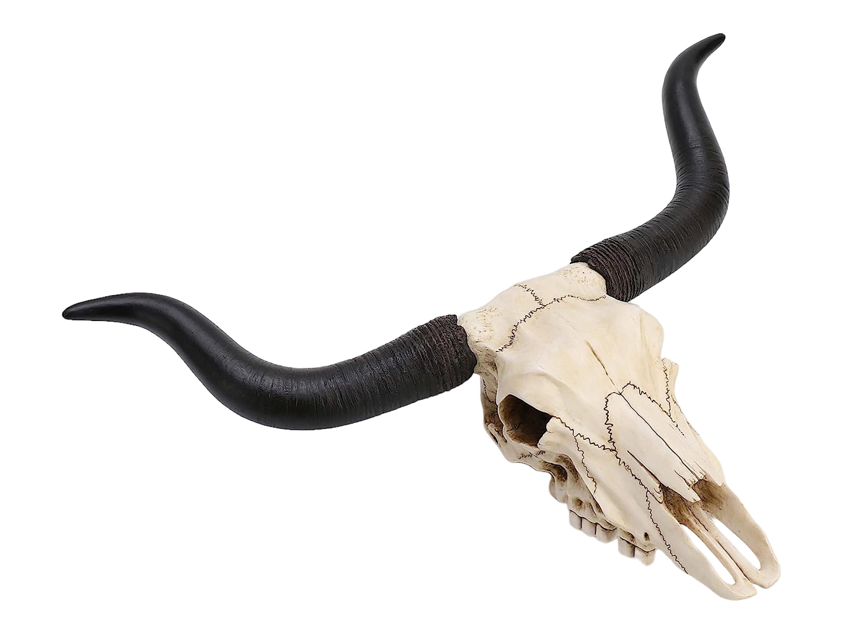 Longhorn Buffalo Head Animal Skull Wall Trophy Bonded Marble Polyresin ...