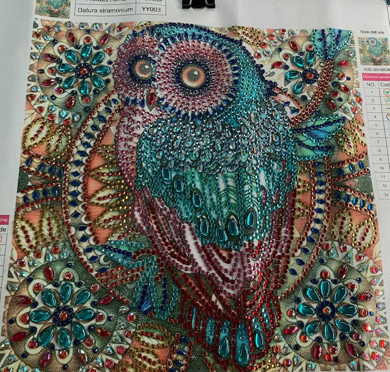 Complete Owl Diamond Painting - Etsy