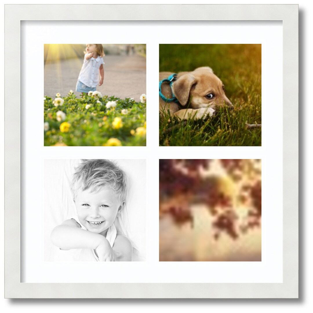 4 - 8x8" Openings Collage Frame, 8x8 Collage Picture Frame, Framed in ...