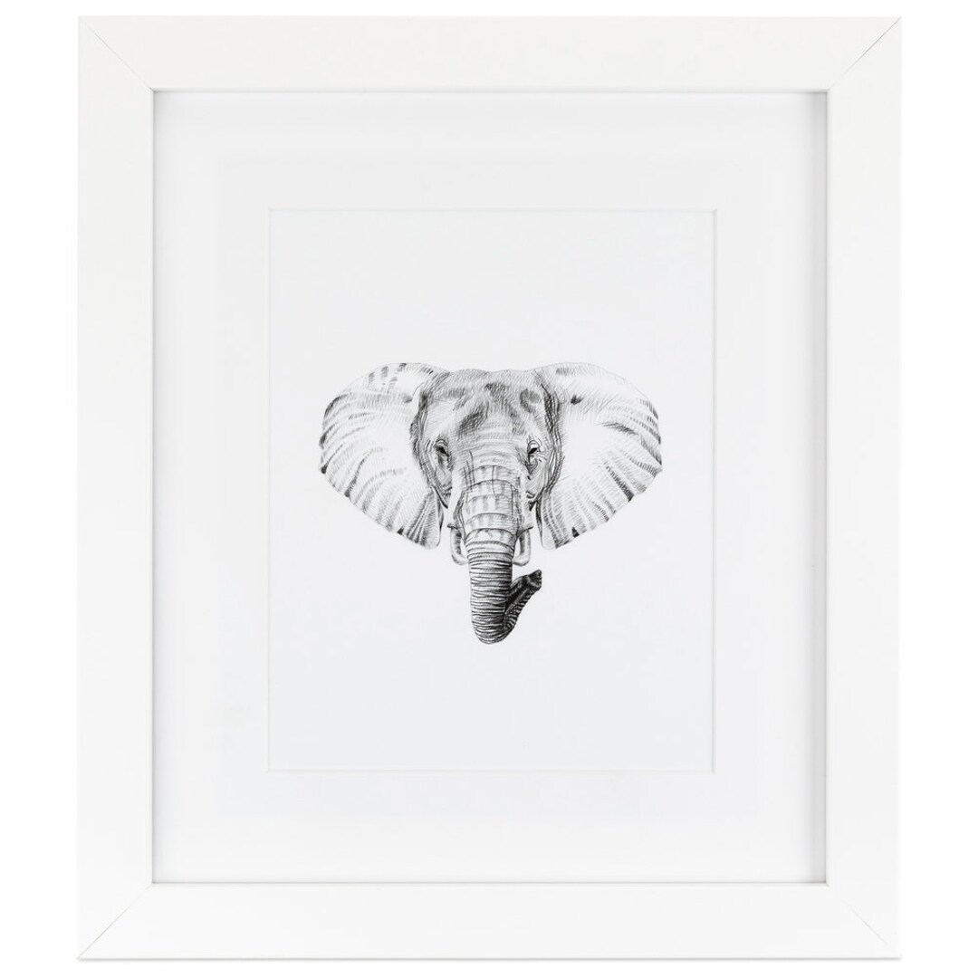 Arttoframes 16x28 Inch Satin White Frame Picture Frame Matted With 2 ...