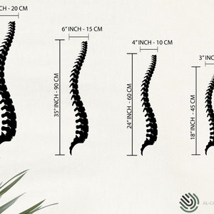 Spine Wall Decor, Spiral Cord Wood Art, Human Spine Office Wall Art ...