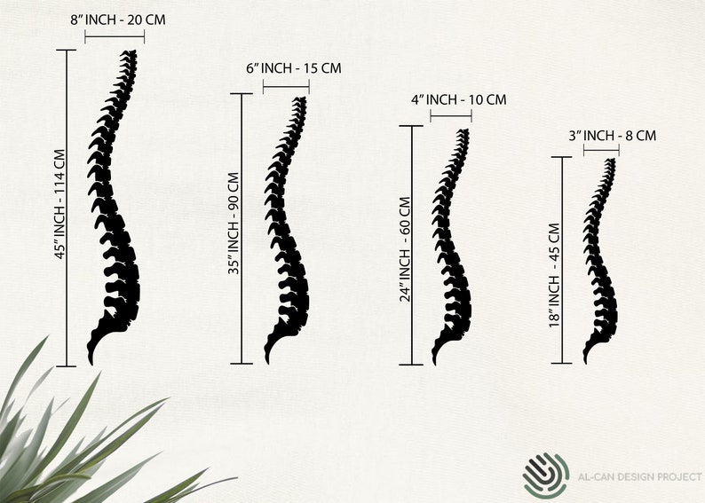 Spine Wall Decor, Spiral Cord Wood Art, Human Spine Office Wall Art ...