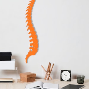 Spine Wall Decor, Spiral Cord Wood Art, Human Spine Office Wall Art ...