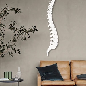 Spine Wall Decor, Spiral Cord Wood Art, Human Spine Office Wall Art ...