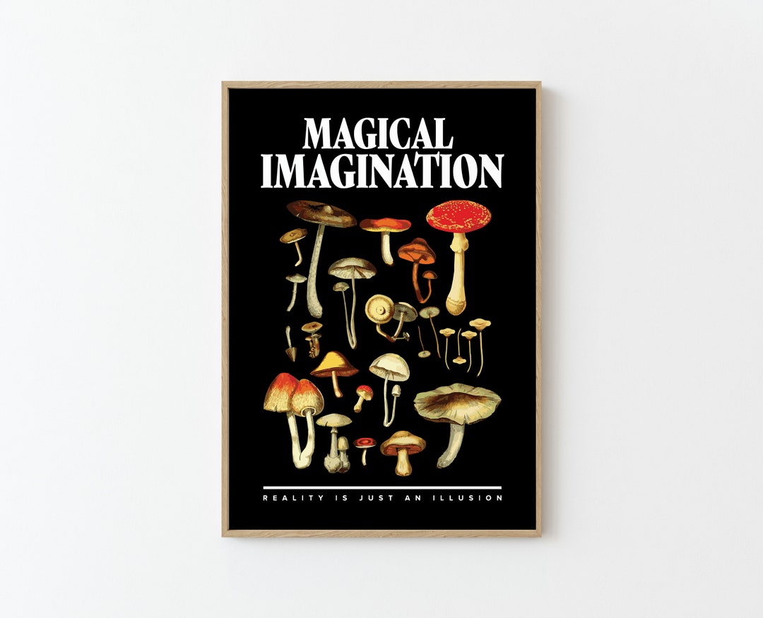 Magical Imagination Poster Quirky Poster Print Wall Art - Etsy