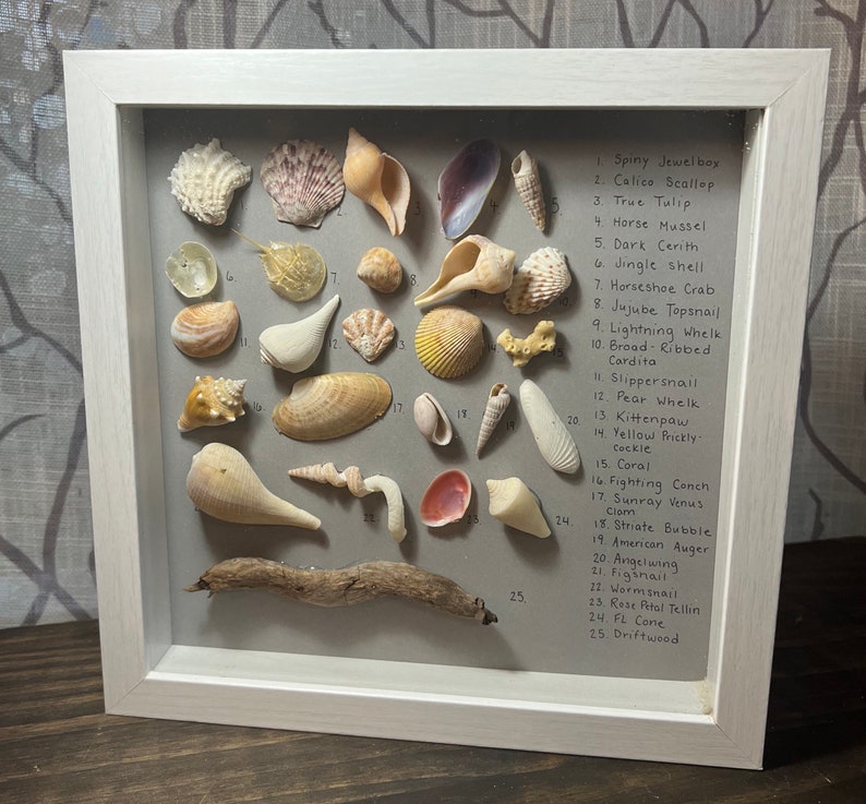 Ocean Shadowbox Collection - Etsy
