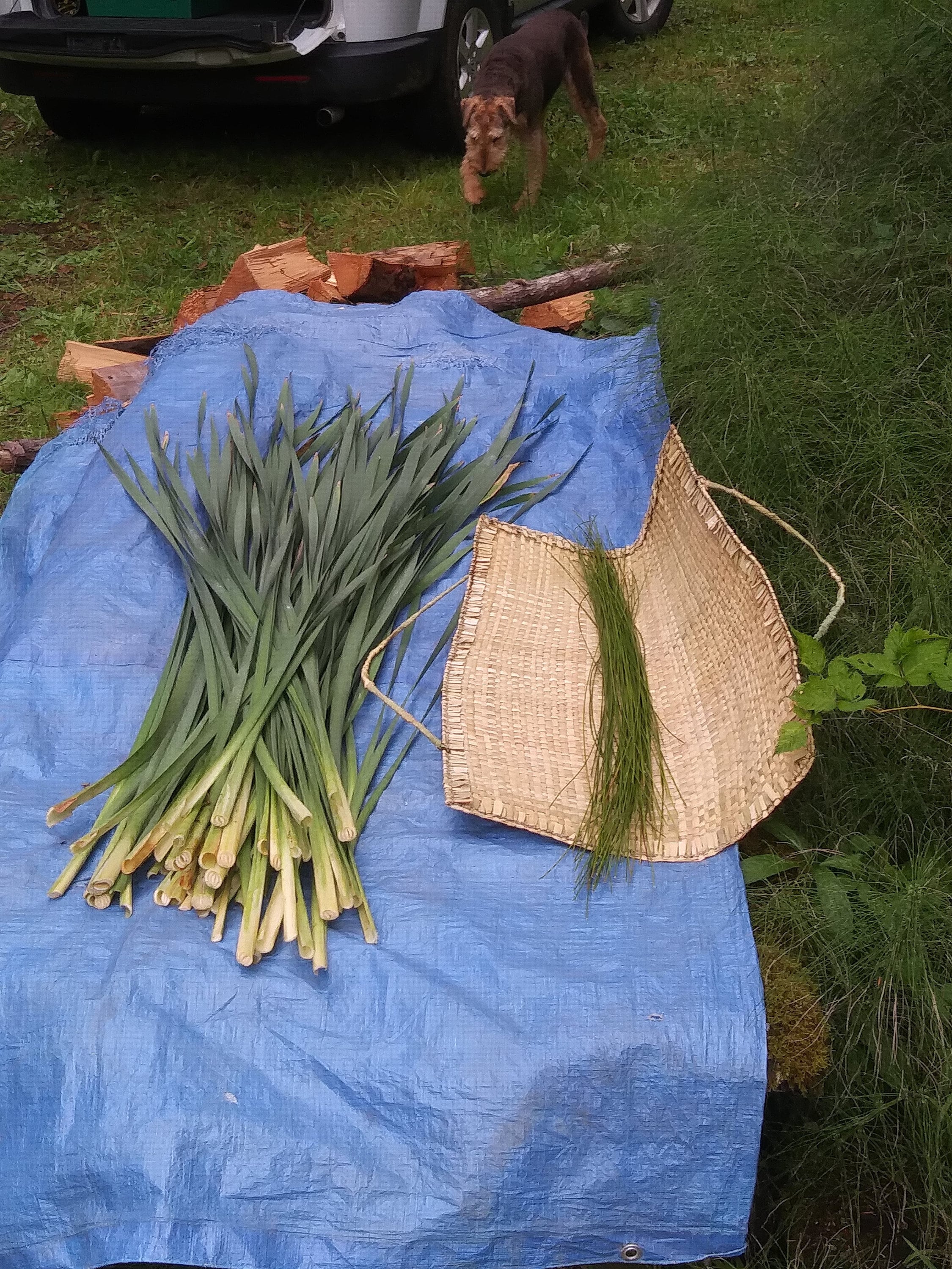 Wide Brim, Flat Top, Braided Cattail Hat - Etsy
