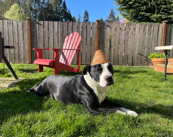 Traditional Salish Style Cedar Hat - Etsy