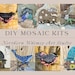 DIY Stained Glass Two Raven Ornaments Mosaic Kit - Etsy