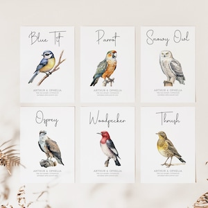 Bird Table Numbers for Wedding | Animal Table Names | Illustrated ...