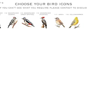 Bird Table Numbers for Wedding | Animal Table Names | Illustrated ...