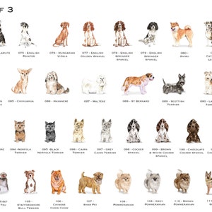 Dog Wedding Table Numbers | Pooch Wedding Reception Table Numbers ...