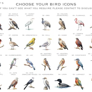 Bird Table Numbers for Wedding | Animal Table Names | Illustrated ...