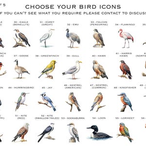 Bird Themed Table Plan Cards | Wedding Table Plan Cards | Bird Spotting ...