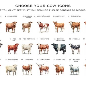 Cow Table Numbers Cow Breed Wedding Table Names Cattle Table Name Cards ...