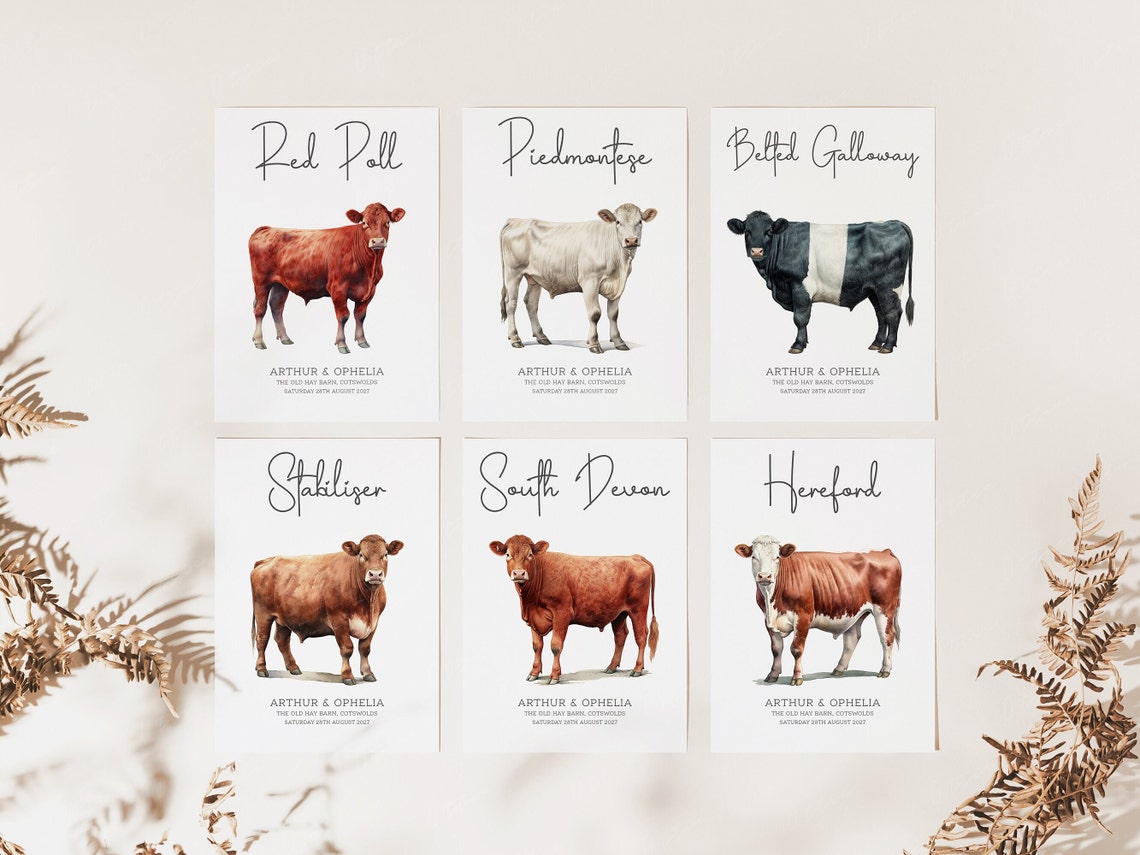 Cow Table Numbers | Cow Breed Wedding Table Names | Cattle Table Name ...