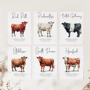 Cow Table Numbers | Cow Breed Wedding Table Names | Cattle Table Name ...