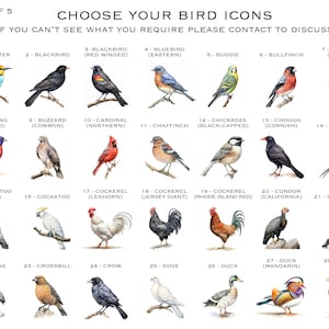 Bird Table Numbers for Wedding | Animal Table Names | Illustrated ...