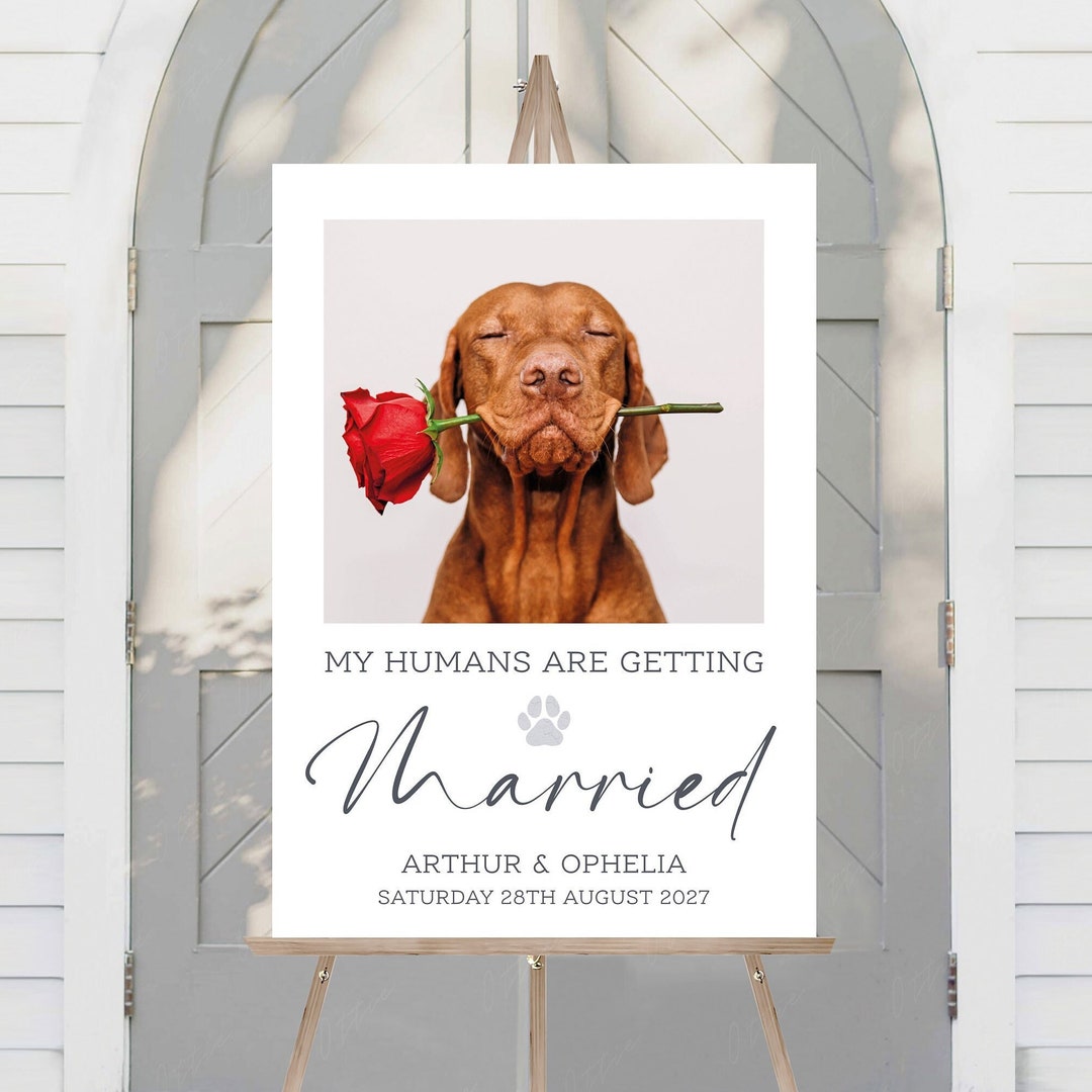 Wedding dog signs | Beachweddingtips.com