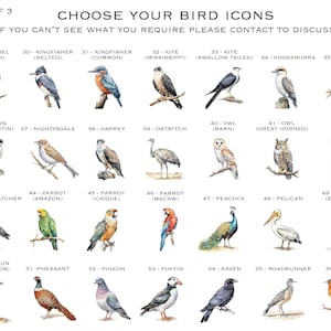 Bird Wedding Seating Plan, Animal Wedding Seating Chart, Bird Spotting ...