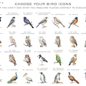 Bird Table Numbers for Wedding | Animal Table Names | Illustrated ...