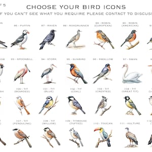 Bird Table Numbers for Wedding | Animal Table Names | Illustrated ...