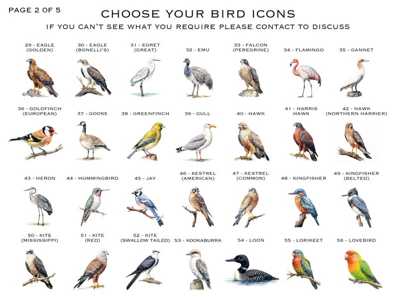 Bird Wedding Seating Plan, Animal Wedding Seating Chart, Bird Spotting ...