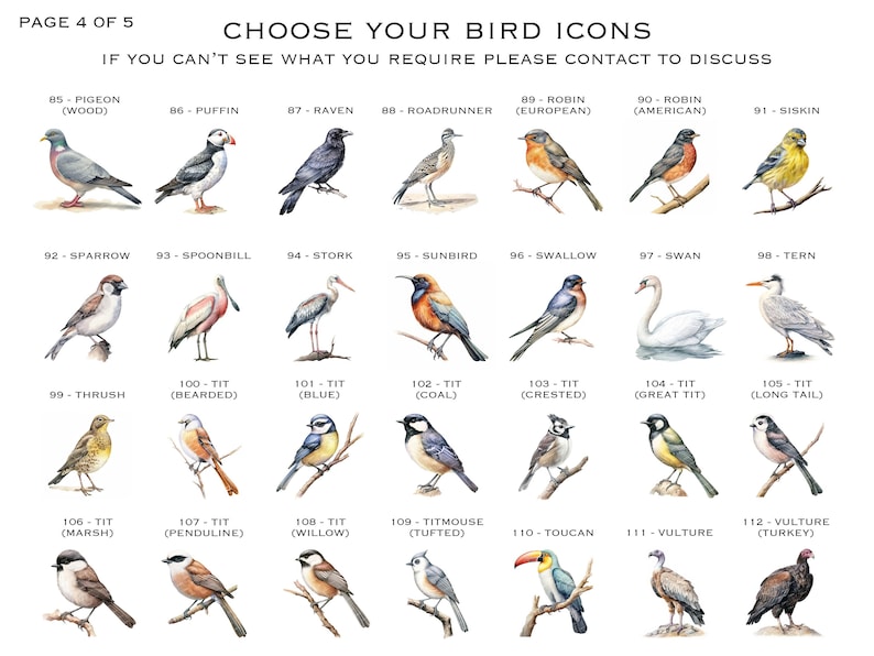 Bird Wedding Seating Plan, Animal Wedding Seating Chart, Bird Spotting ...