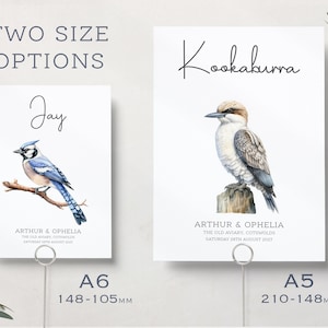 Bird Table Numbers for Wedding | Animal Table Names | Illustrated ...