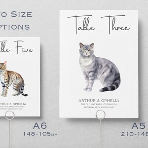 Cat Wedding Table Numbers Pet Table Names for Wedding - Etsy