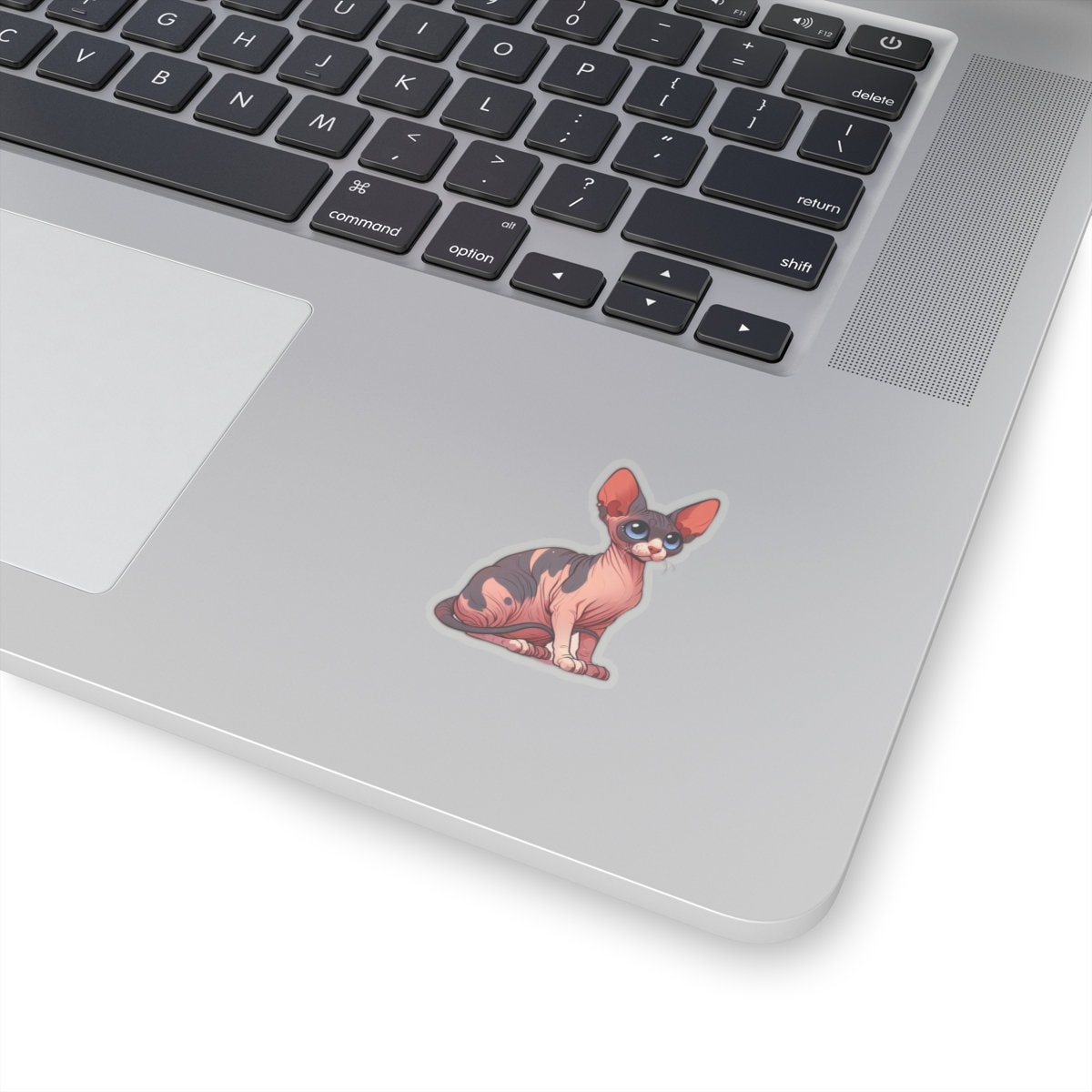 Hairless Cornish Rex Cat Sticker #1 - Etsy
