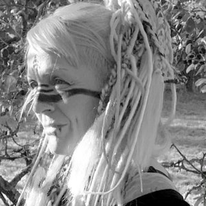 Viking Dreads & Braids Nordic Blondes Silvers Greys - Etsy UK