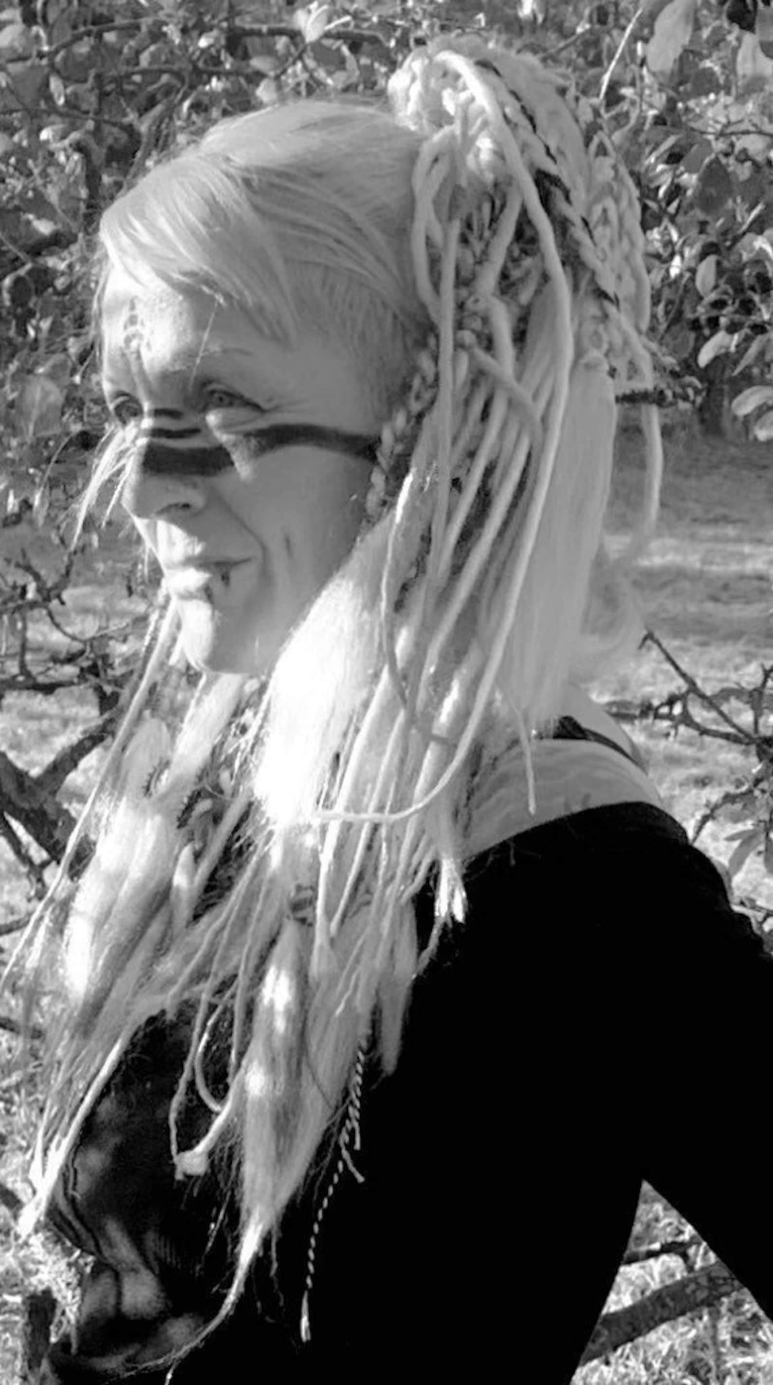 Viking Dreads & Braids Nordic Blondes Silvers Greys - Etsy UK