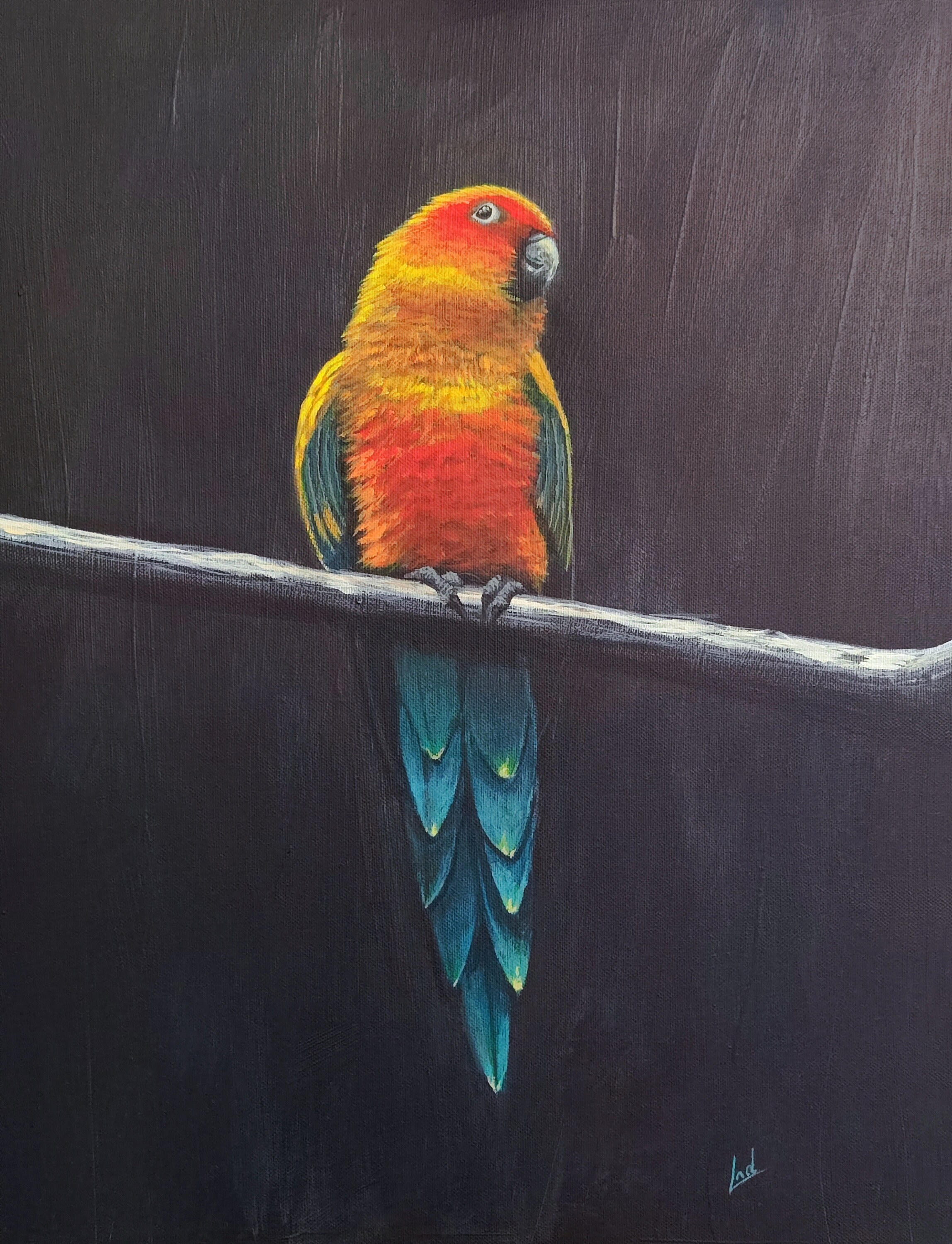 Hand Painted Parrot on Black Background, Acrylic Colors. - Etsy