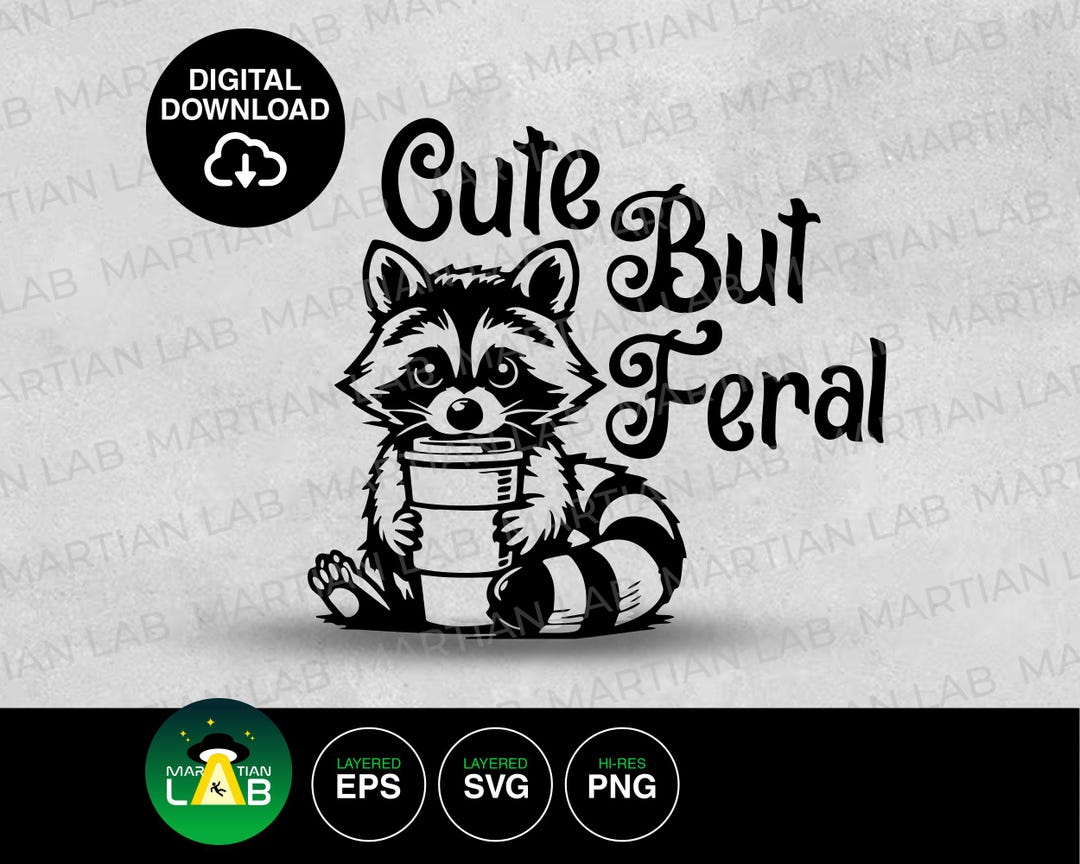 Cute Raccoon Rocket Vector Decal Stencil Souvenir Cricut Ready File ...